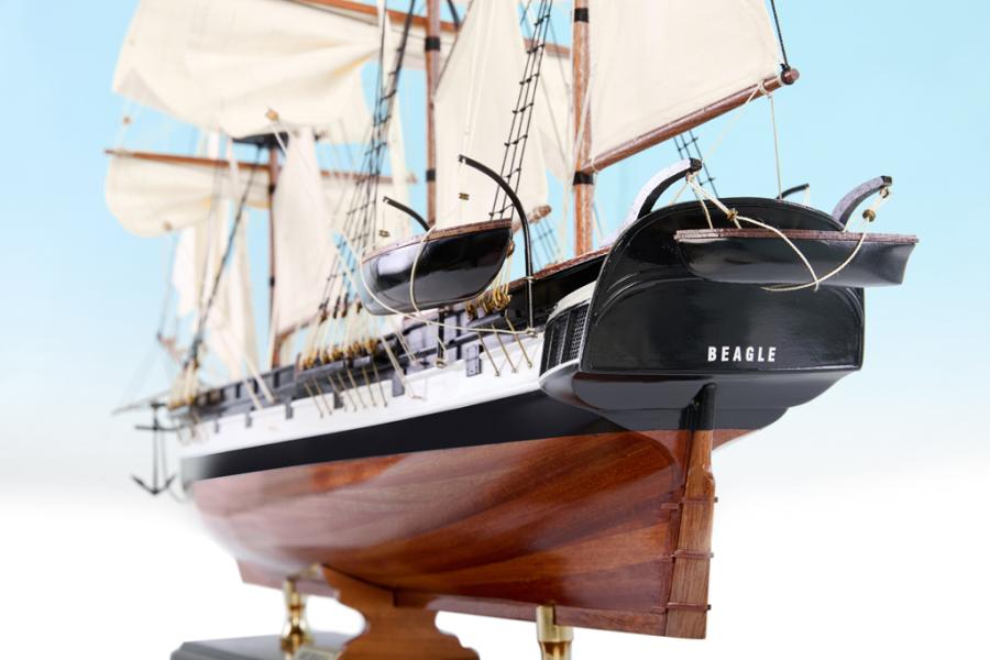 HMS Beagle Model Ship 93cm | Charles Darwin’s voyage